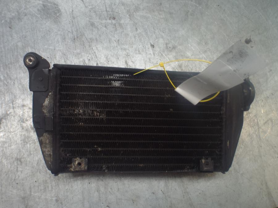 Kawasaki KLR650 1984-On Motorcycle Radiator Assembly
