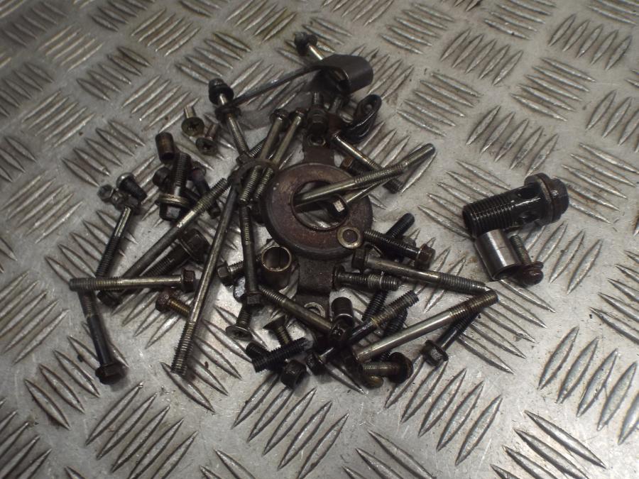 Suzuki SG350 Goose Circa 1991-1999 Engine Cover Case Bolts